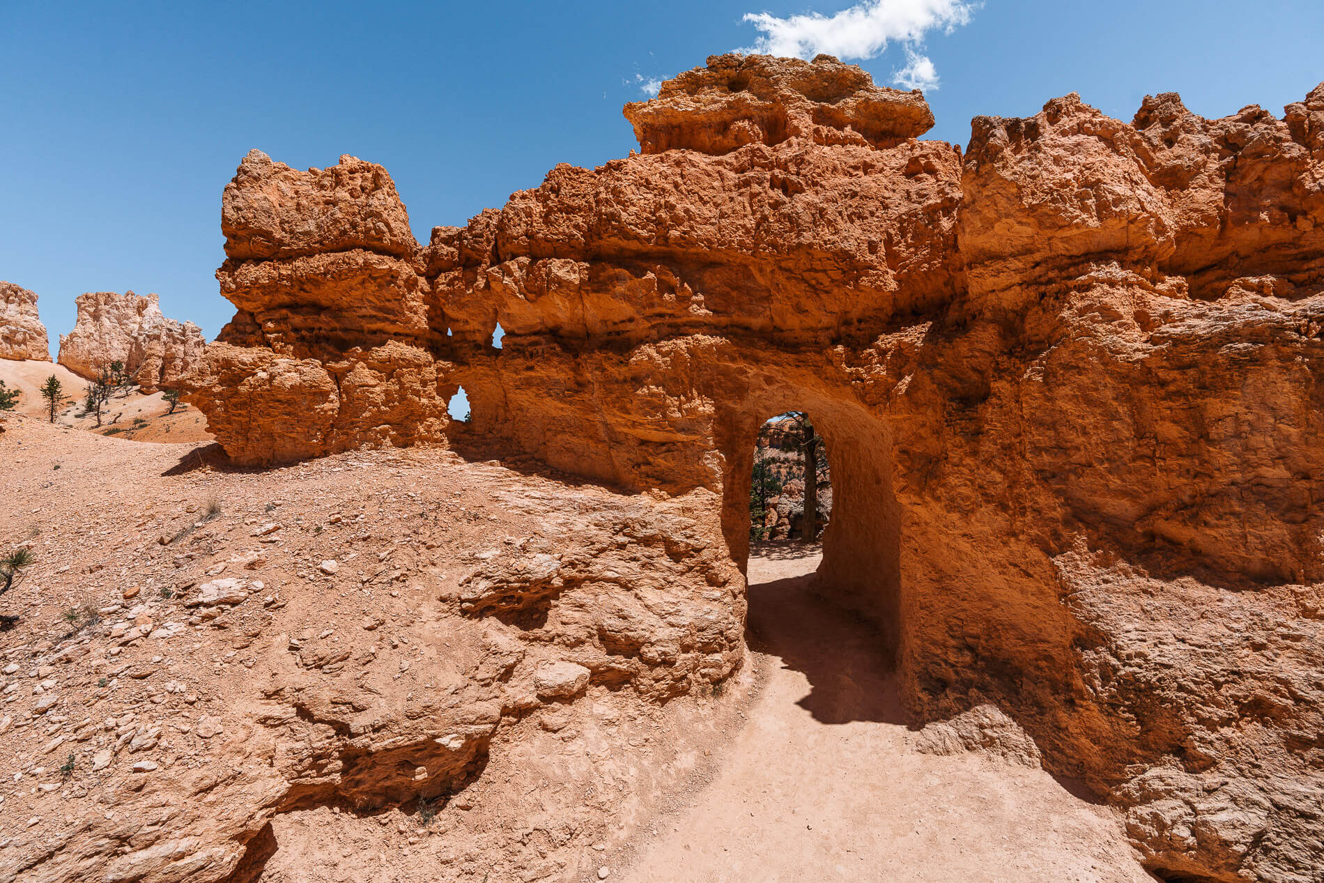 Hiking The Figure 8 Loop in Bryce Canyon National Park | Aspiring Wild