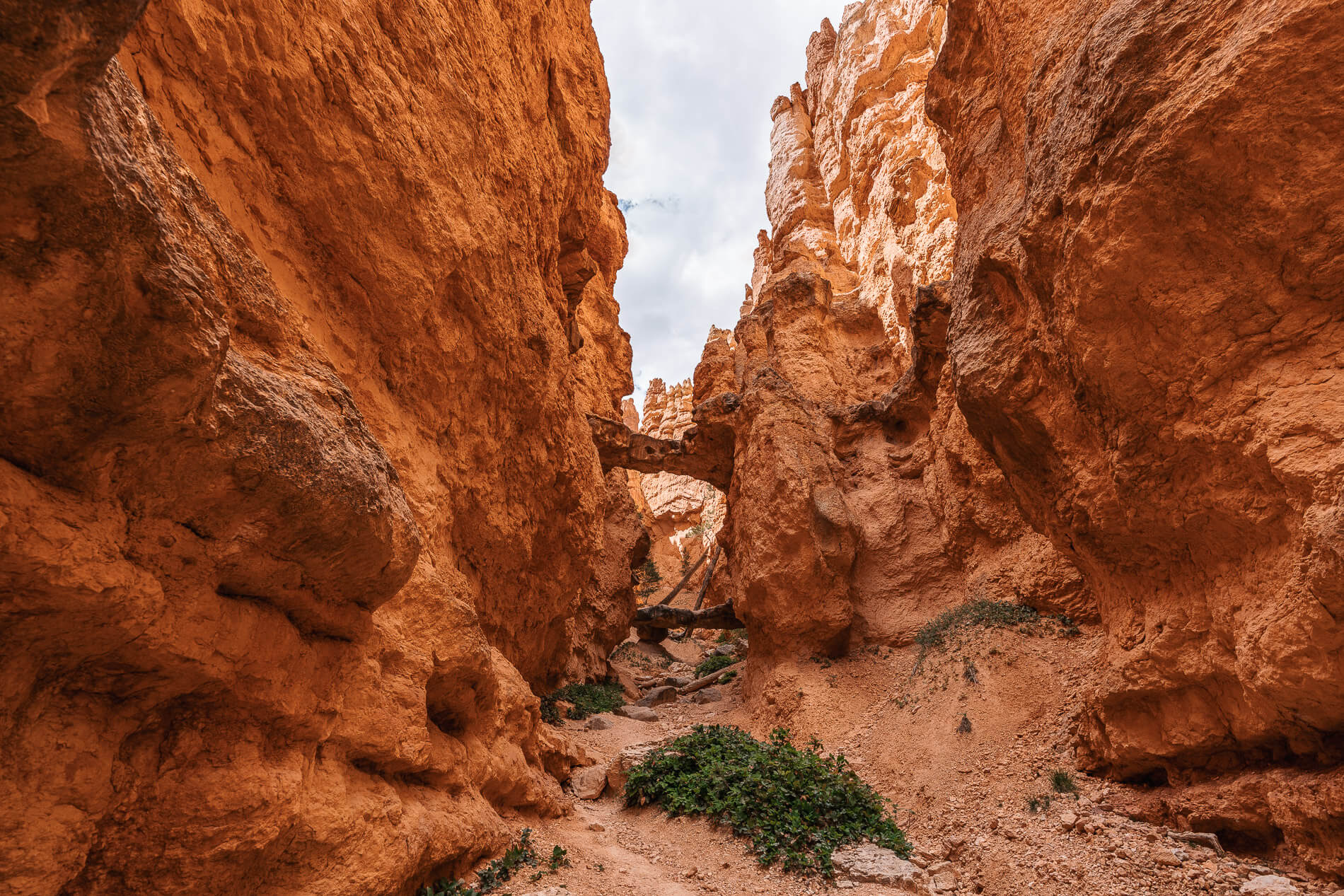 Hiking The Figure 8 Loop in Bryce Canyon National Park | Aspiring Wild