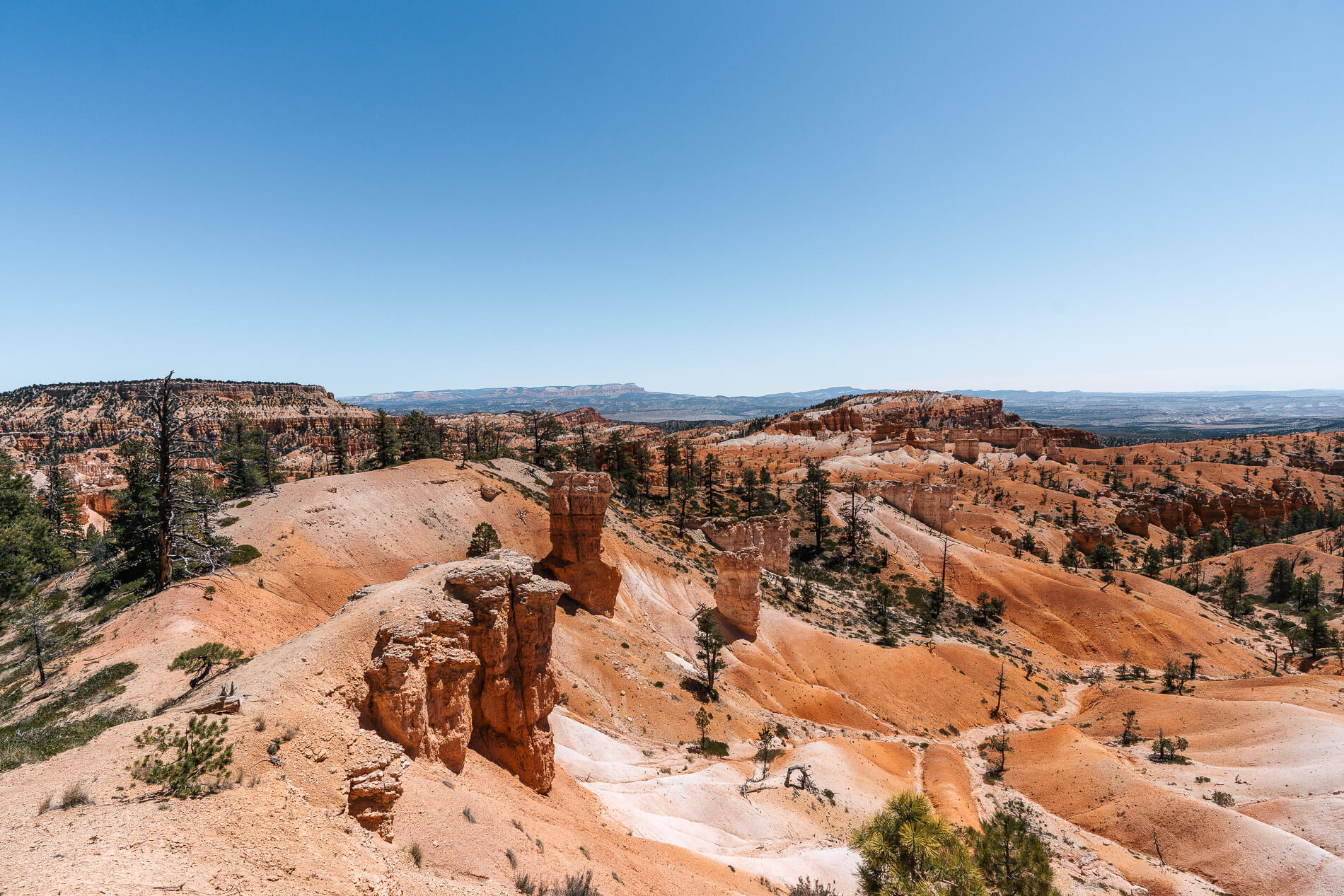 Hiking The Figure 8 Loop in Bryce Canyon National Park | Aspiring Wild