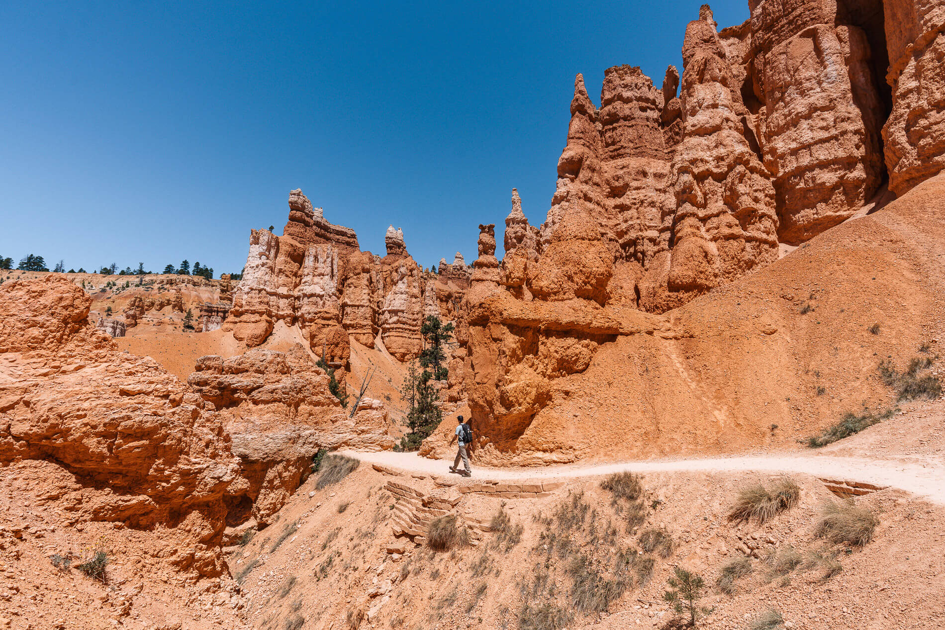 Hiking The Figure 8 Loop in Bryce Canyon National Park | Aspiring Wild