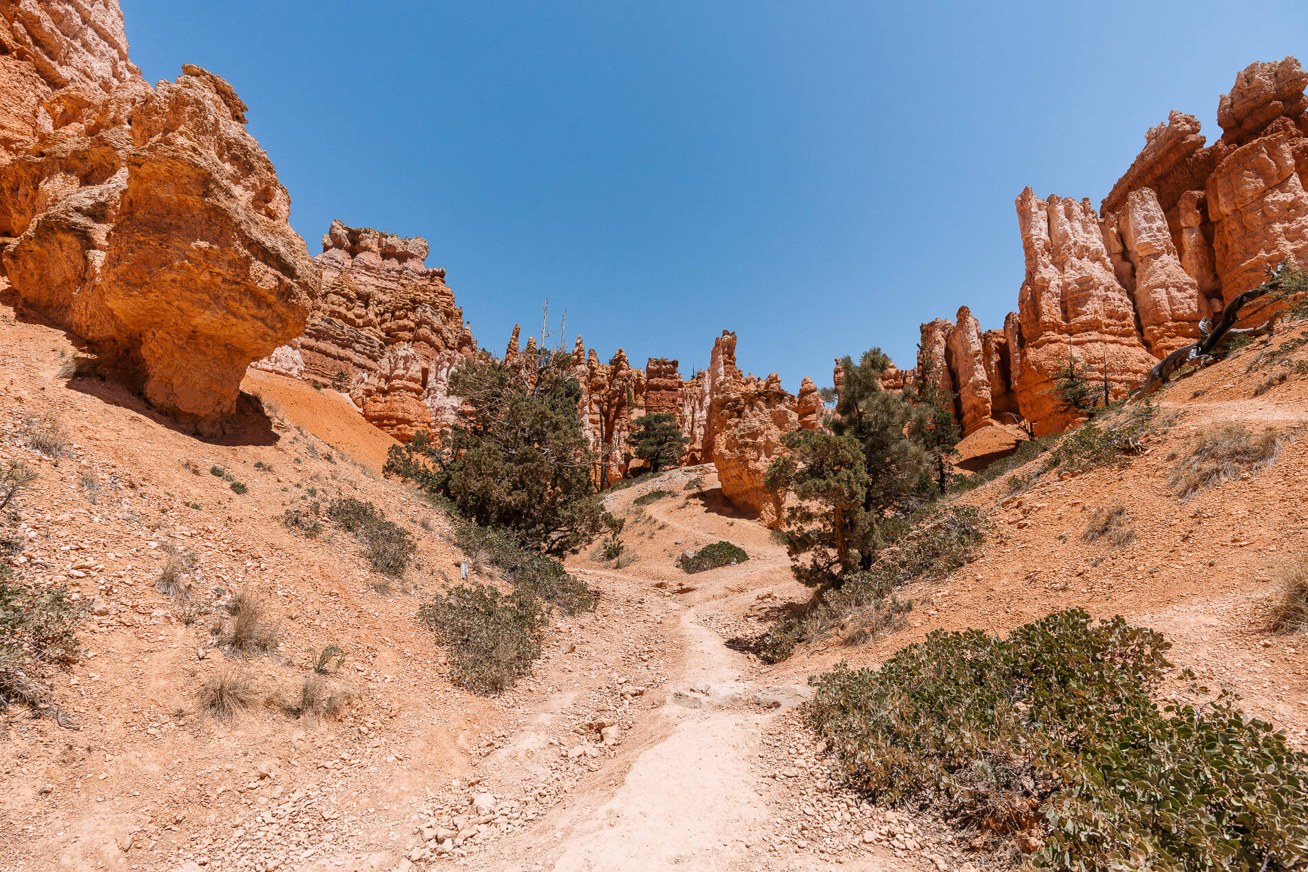 Hiking The Figure 8 Loop in Bryce Canyon National Park | Aspiring Wild
