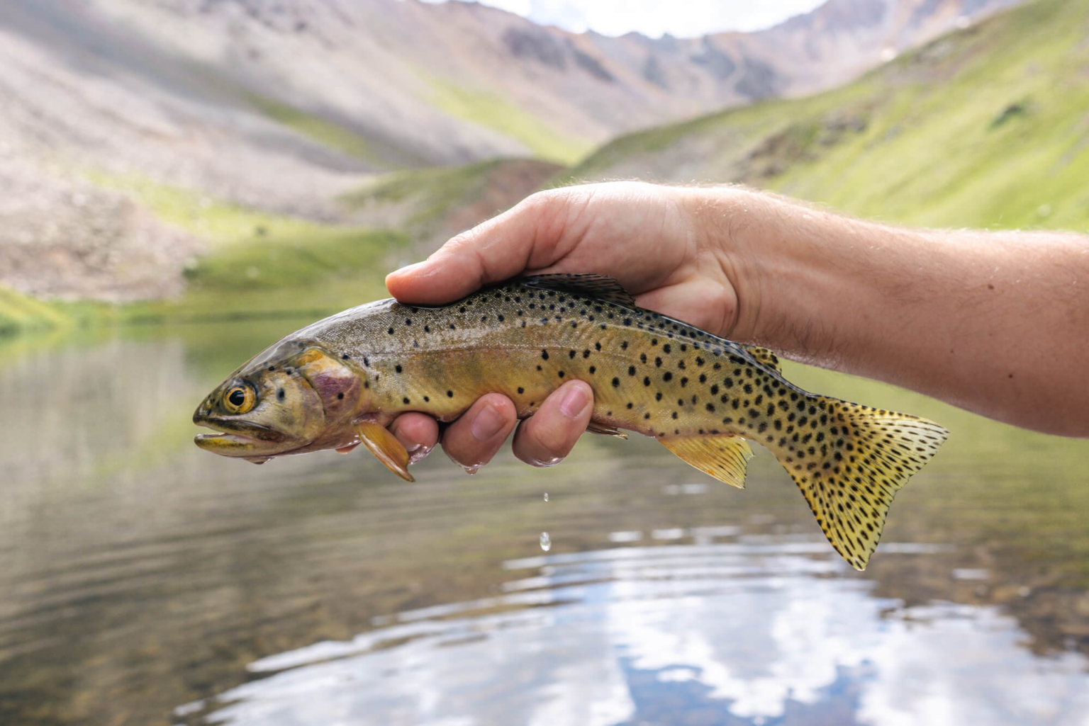 Hiking & Fishing Blue Lakes in Mount Sneffels Wilderness | Aspiring Wild