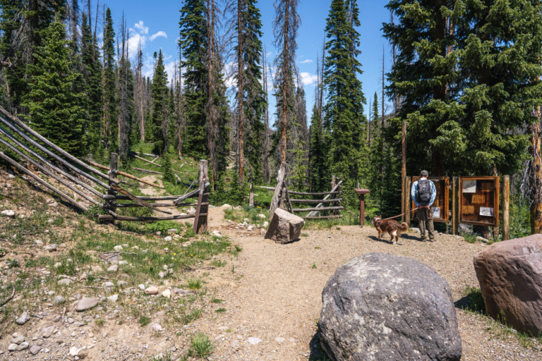 Hiking to Red Lake in the South San Juan Wilderness | Aspiring Wild