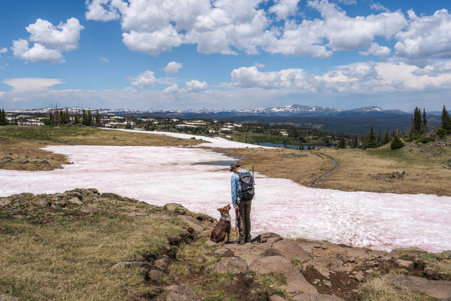 Hiking to Red Lake in the South San Juan Wilderness | Aspiring Wild